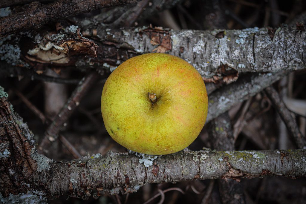 The Terribleminds Gift Guide 2023 – Chuck Wendig: Terribleminds